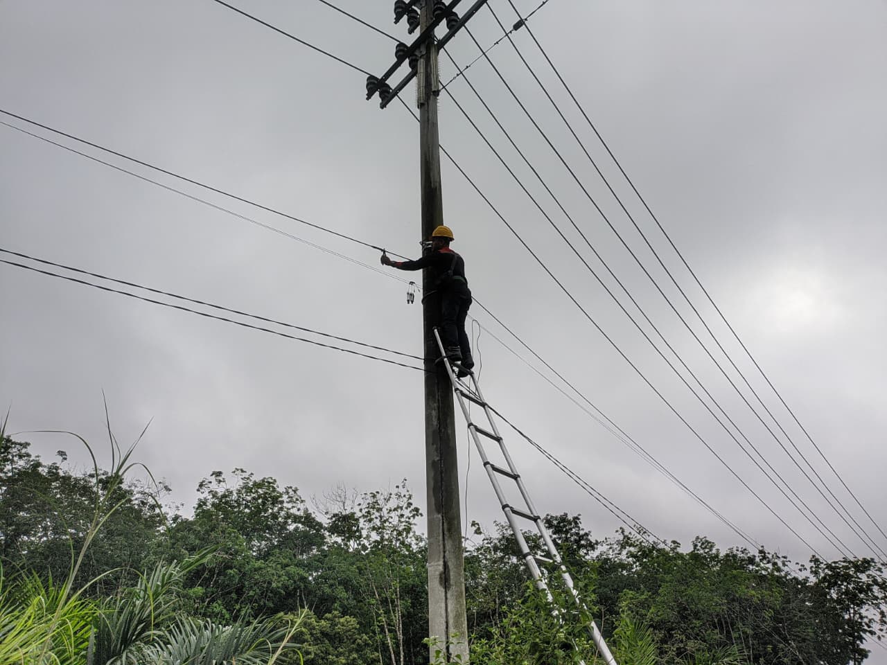 Optimalisasi Jaringan Berkelanjutan, PLN Icon Plus Lakukan Pemeliharaan ...